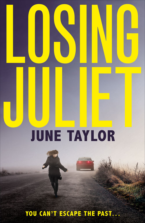 An Interview with June Taylor, author of Losing Juliet | Linda's Book Bag